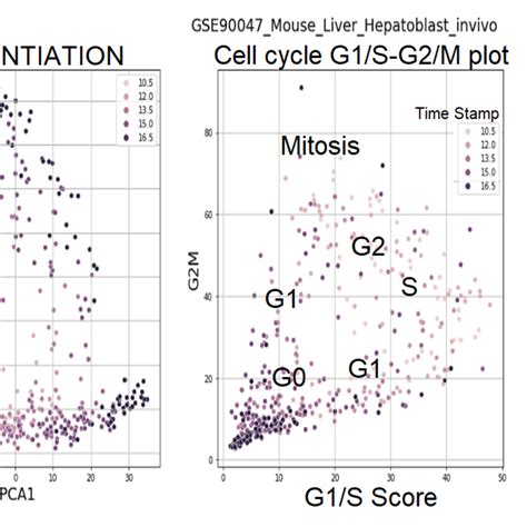 Scrna Seq Trajectory Inference Kaggle