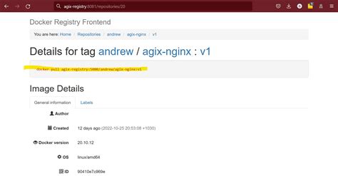 Self Host A Docker Registry Linux Cybersecurity In South Australia With AGIX
