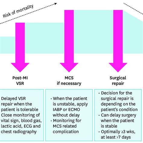 Schematic Figure Showing Considerations Over The Courses Of Post Mi Vsr