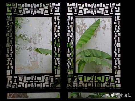 苏州园林网师园初夏 知乎