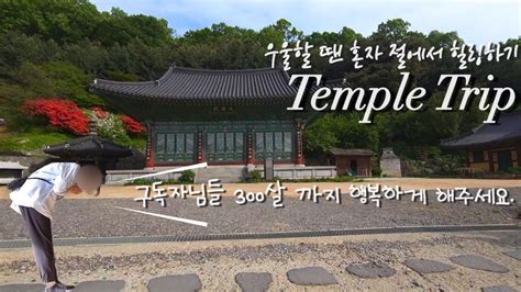 Sub안산 여행 브이로그 우울할 땐 혼자 절에서 힐링하기 절 투어 해보기조금 이른 부처님 오신 날 특집 Youtube