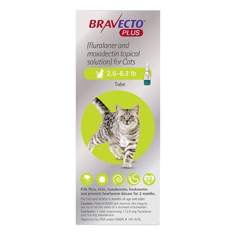 Bravecto Plus Best Flea And Tick Treatment And Heartworm Preventative For Cats