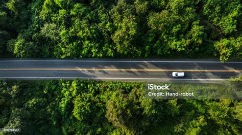 숲에서의 모험 아침 도로 여행 녹색 숲을 통해 아스팔트 도로에서 전기 자동차 운전 0명에 대한 스톡 사진 및 기타 이미지 0