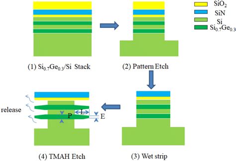 selective etching indication at denise basso blog