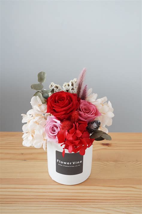 프리저브드드라이플라워 인테리어 실내 대형 공기정화식물 실내외조경 Flowervine 플라워바인