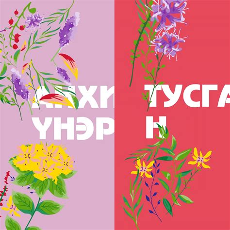 Тэрэлж And Сэлэнгэ брэнд Home Facebook