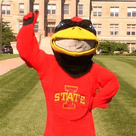 Iowa State Cyclones  By Iowa State University Find And Share On Giphy
