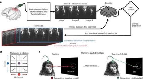 Less Invasive Brain Machine Interfaces Use Functional Ultrasound