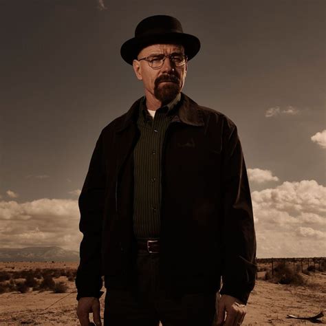 Walter White Costume Breaking Bad Artofit