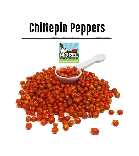 Chiltepin Pepper Seeds Chilli Seeds Weights 05 Oz 1 Oz 2 Oz 4 Oz