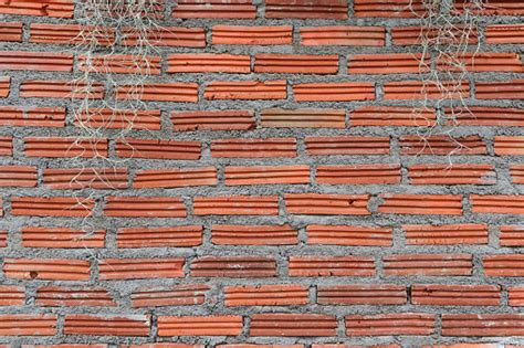 건설 노동자에 의해 집 벽을 위해 지어졌고 계약자에 의해 통제되는 벽돌 벽 배경 벽돌 벽은 시멘트로 벽돌 벽을 석고하기 전에 아름답고 완벽하게 보입니다 0명에 대한 스톡