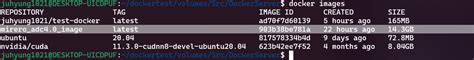 Images Issue SagiK Repository Nomal GitHub
