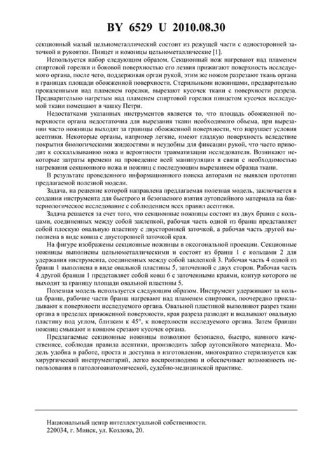 Патент на полезную модель Республики Беларусь Pdf