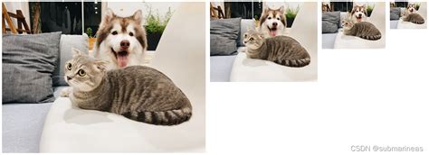 Python Opencv学习笔记（七）：滑动窗口与图像金字塔python Sliding Window Csdn Csdn博客