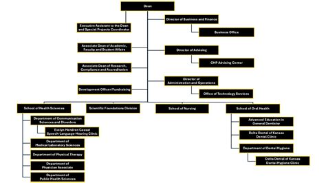 Organizational Chart For College Of Health Professions