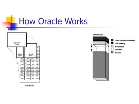Ppt Oracle Seminar Powerpoint Presentation Free Download Id 7087476