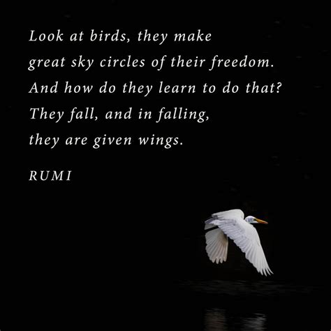 ⑦ ‘애교만 떠는 여자보다 ‘애정이 넘치는 여자 를 보게 된 감격을 주장하고 싶다는 막된 여자 정치인의 목청을 뽑아서 남자 배우의 가슴과 배를 긴 검지 손가락으로 두