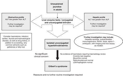 Gilbert Syndrome Diagnosis Criteria At Horace Dickenson Blog