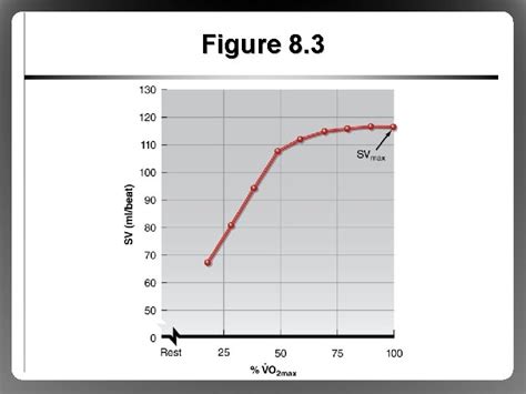 Chapter 8 Cardiorespiratory Responses To Acute Exercise Cardiovascular