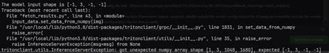 Dynamic Input Shape Handling In Triton · Issue 5752 · Triton Inference