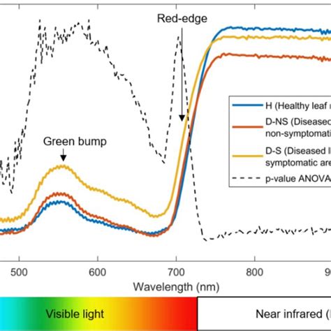 Expected Result Of Accurate Classification Of Hyperspectral Images From