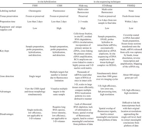 Comparison Of Different In Situ Hybridization Techniques And In Situ