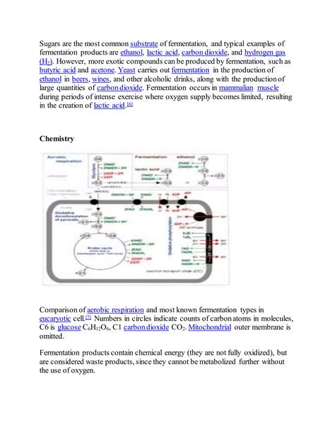 Fermentation Process Pdf