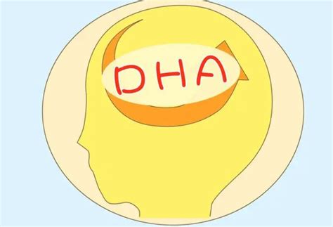 Dha是什么 有什么用 一文揭秘dha 哔哩哔哩