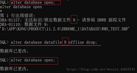 误删表空间或dmp文件，出现ora 01033oracle Initialization Or Shutdown In Progress