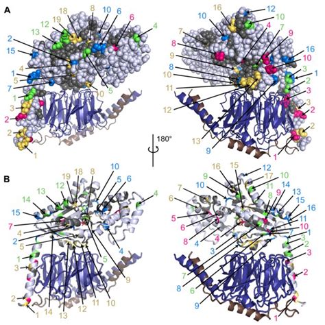 Figure S1 Class Distinctive Sites In Structural Context Gi1 Is In