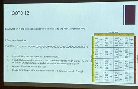 Solved 1 A Mutation In The Intron Splice Site Would Do What