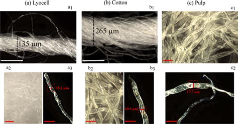 Cellulose Sources Images Taken Using An Infinitefocus Microscope The Download Scientific