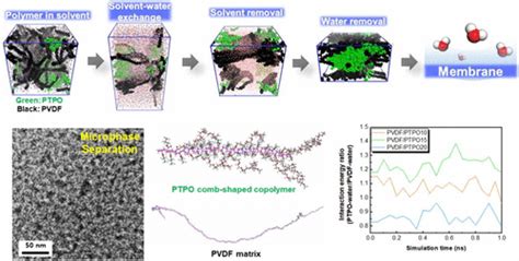 Surface Segregation Of Partially Fluorinated Comb Shaped Amphiphilic Copolymer In Pvdf Membrane