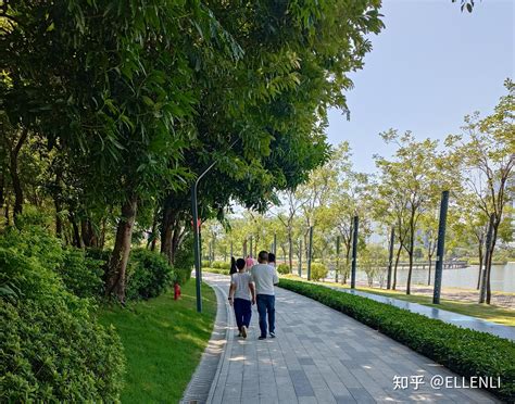 开启大脑潜能：前额叶皮质锻炼全攻略 知乎