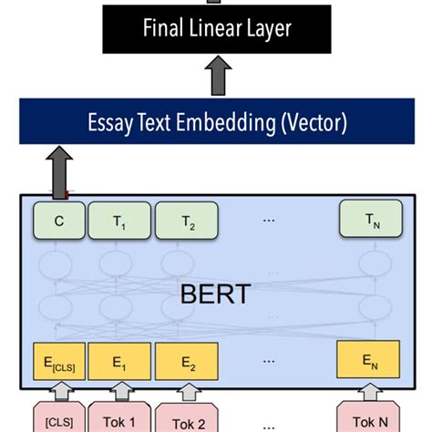 The Aces Bert Model Download Scientific Diagram