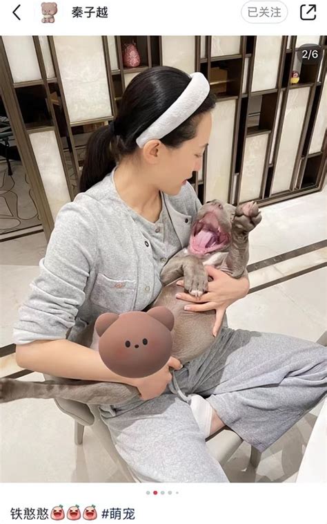 聂远的老婆（聂远老婆秦子越晒照）可可情感网