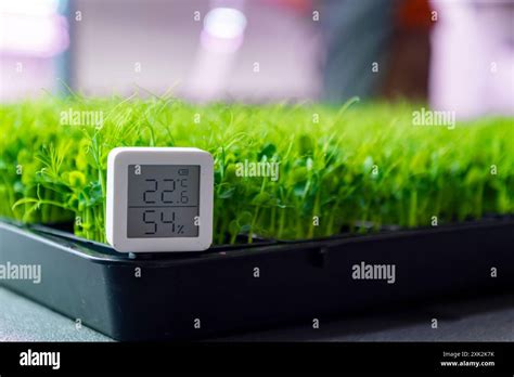 A Digital Thermometer Displays Temperature And Humidity Levels Critical For Growing Healthy