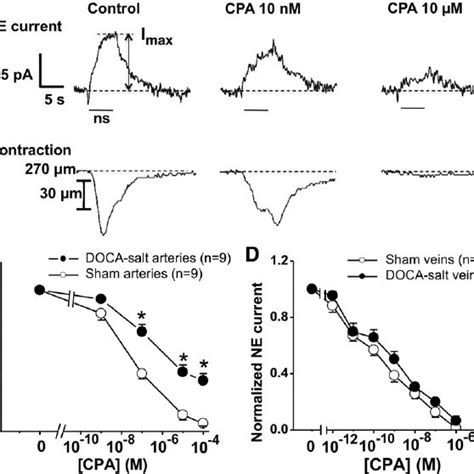 Adenosine And Cpa Concentration Response Curves Crcs For Inhibition