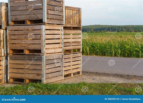 Rows Of Wooden Crates Crates And Pallets For Storing And Transporting Fruits And Vegetables In