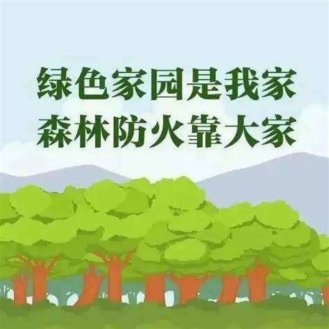 一图读懂 学习森林防火小知识黄称忠赵李刘宇航
