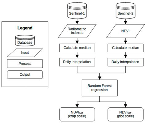 Enhancing Crop Yield Estimation In Spinach Crops Using Synthetic Aperture Radar Derived