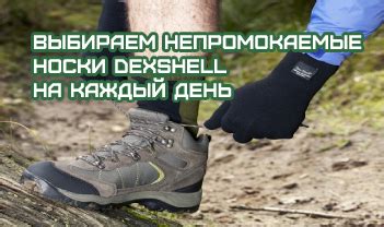 Выбираем непромокаемые носки Dexshell на каждый день - Huntergo.Ru