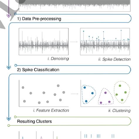 Typical Spike Sorting Pipeline Raw Recordings Are Filtered Spikes Are