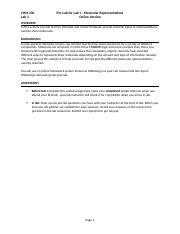 Lab Molecular Representations Prelab Docx CHM Lab Pre Lab For Lab Molecular