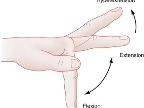 Finger Flexion And Extension