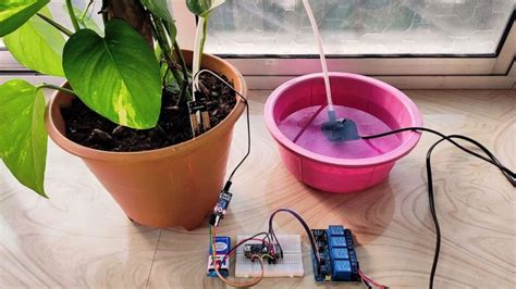 Automatic Plant Watering System With Arduino Plant Watering System Arduino Watering