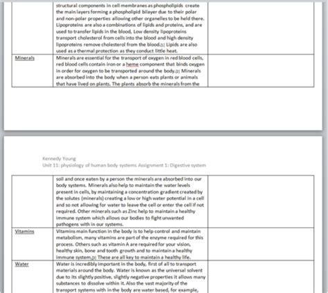 Assignment 1 Digestive System Physiology Of Human Body Systems
