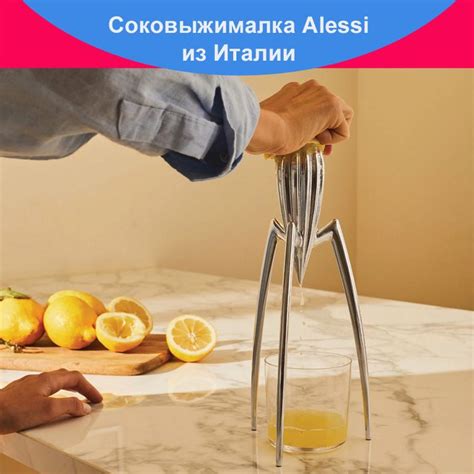 Ручная соковыжималка для для цитрусовых Alessi, 1 шт купить по выгодной ...