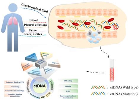 Cancers Free Full Text Circulating Tumor Dna—a Novel Biomarker Of Tumor Progression And Its