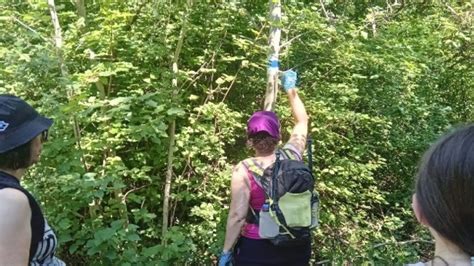 С мисъл за добро Доброволци направиха нова екопътека в мездренско село